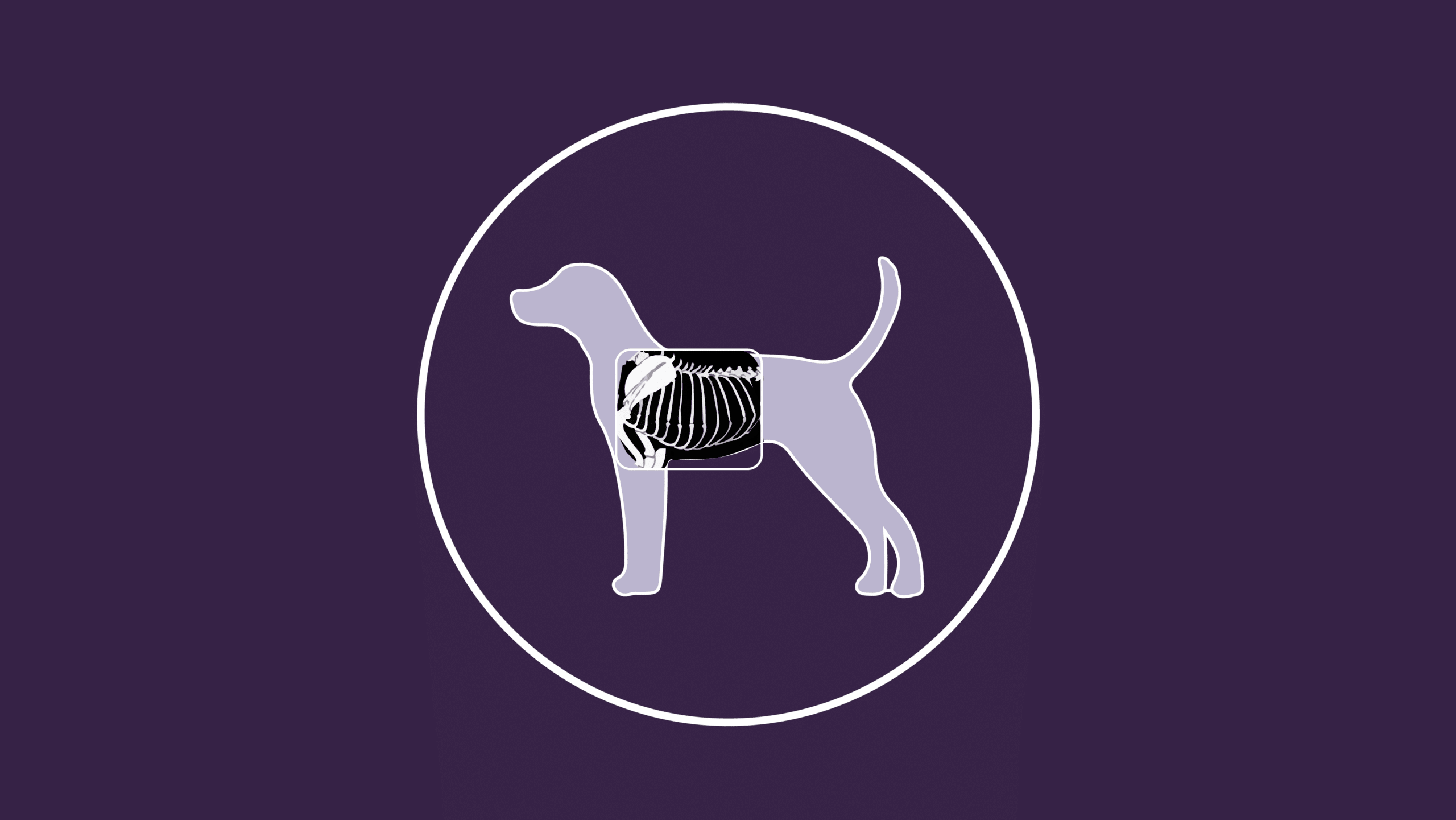 Puede Ver Las Costillas Y La Columna Vertebral De Los Perros