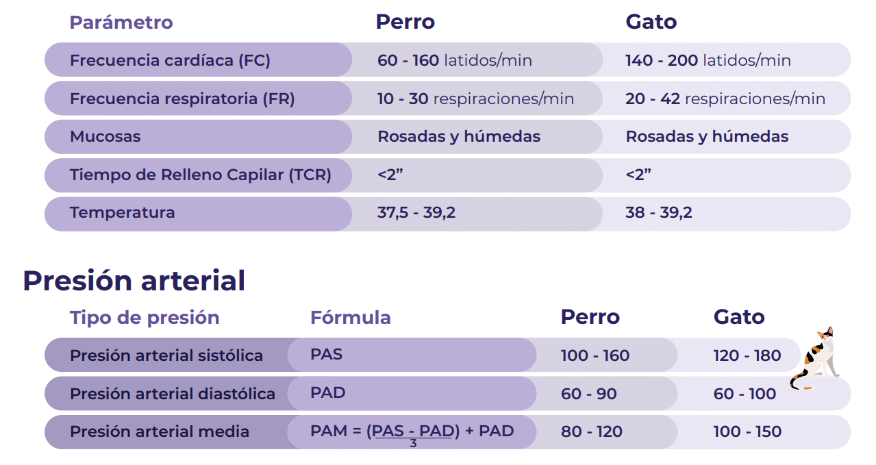 Y tú, ¿sabes cómo manejar a un paciente en shock? - Cuas Formación ...
