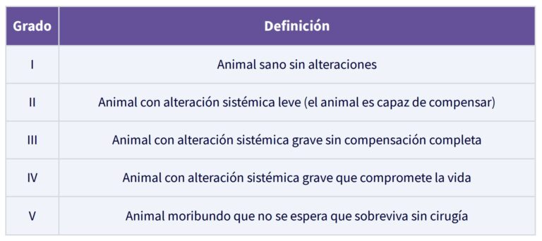 Valoración del riesgo anestésico en veterinaria - Clasificación ASA