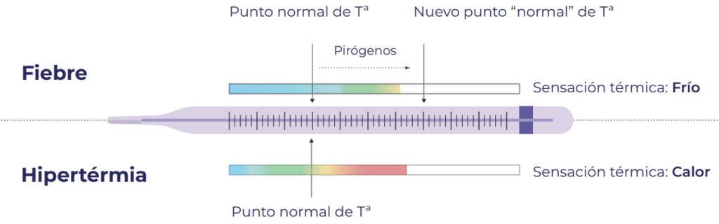Fiebre vs. hipertermia en animales: Todo lo que debes saber - Cuas ...
