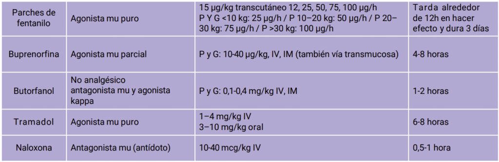 Analgésicos en perros y gatos: Cómo hacer un buen uso - Cuas Formación ...