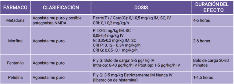 Analgésicos en perros y gatos: Cómo hacer un buen uso - Cuas Formación ...