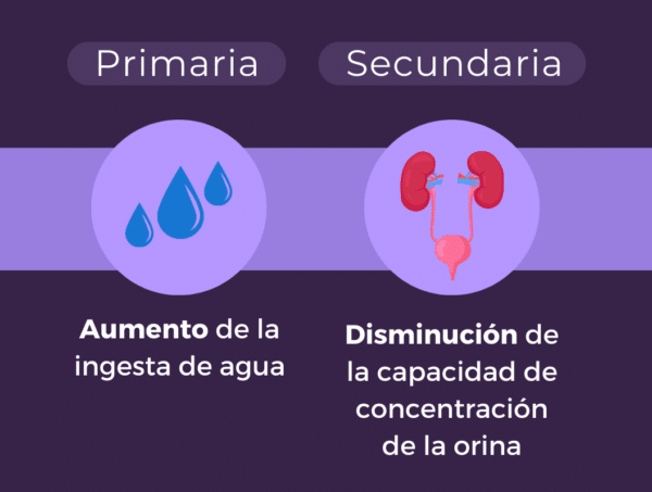 Poliuria-polidipsia: Todo sobre la orina en animales - Cuas Formación ...