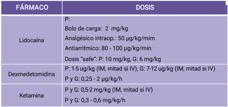 Analgésicos en perros y gatos: Cómo hacer un buen uso - Cuas Formación ...