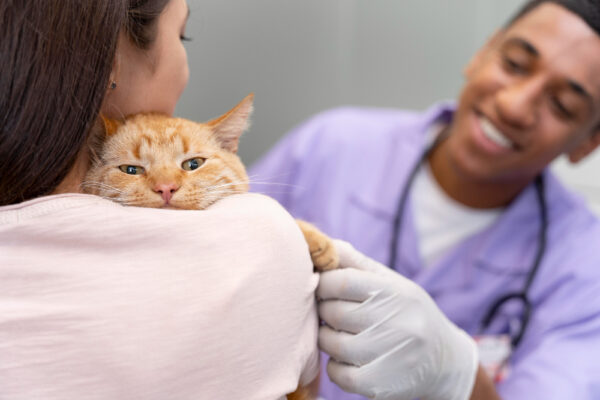 Edema pulmonar en perros y gatos: Causas y tratamiento - Cuas Formación ...