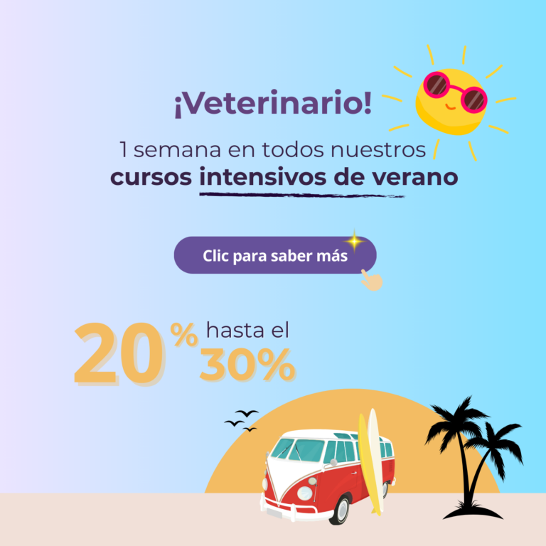 Heces con sangre en perros: causas y tratamiento veterinario - Cuas ...