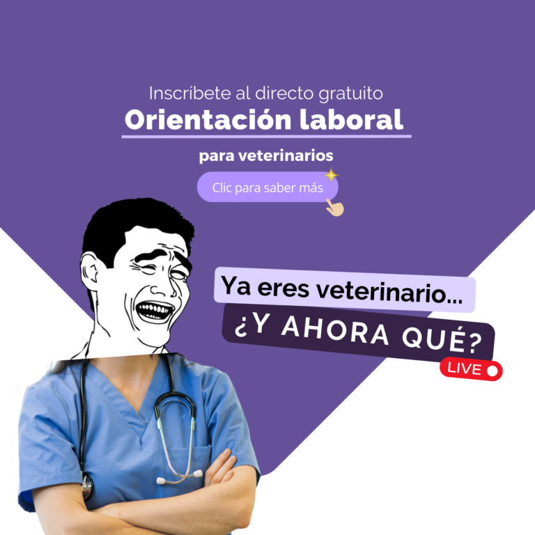 Tralieve (tramadol): manejo del dolor en perros - Cuas Formación ...