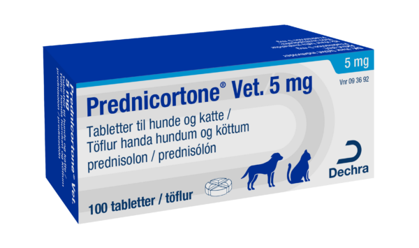 Prednicortone: prednisolona eficaz para pequeños animales - Cuas ...