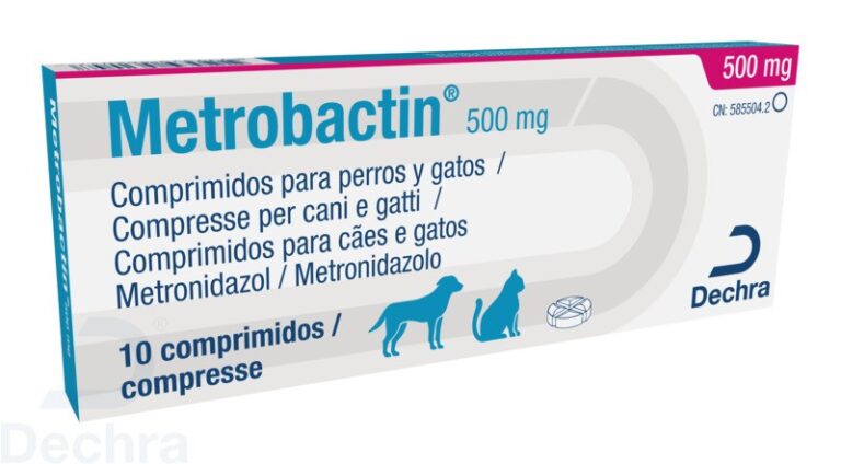 Metrobactin (metronidazol): tratamiento para colitis y giardiasis ...